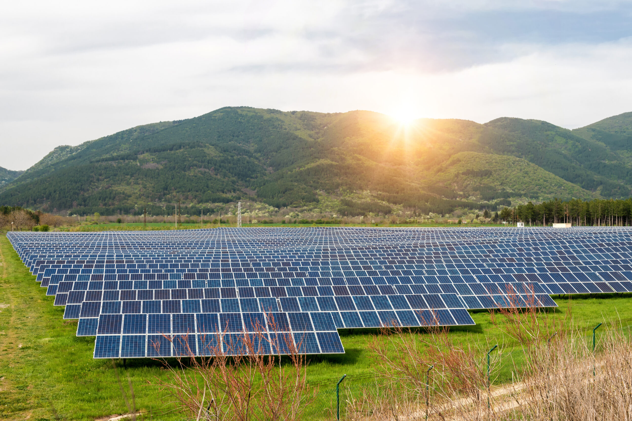 Solar,Panels,,Photovoltaics,,Alternative,Electricity,Source.,View,Of,A ...